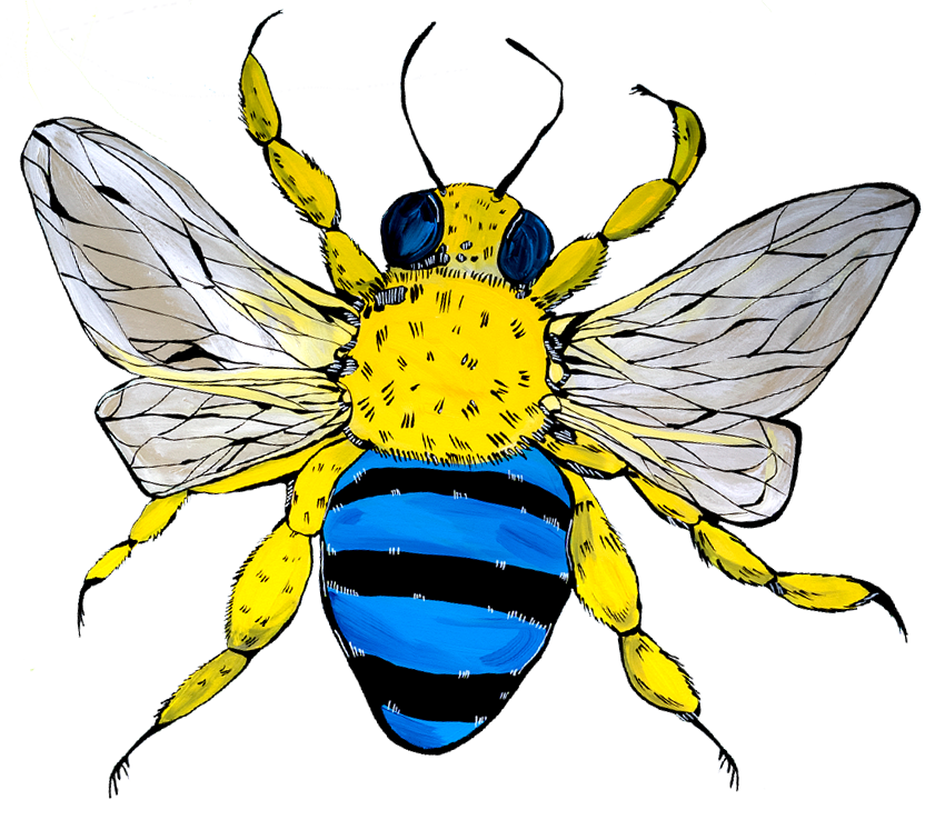 Exploring Native Bee Love - Pomona & District Community House Inc.